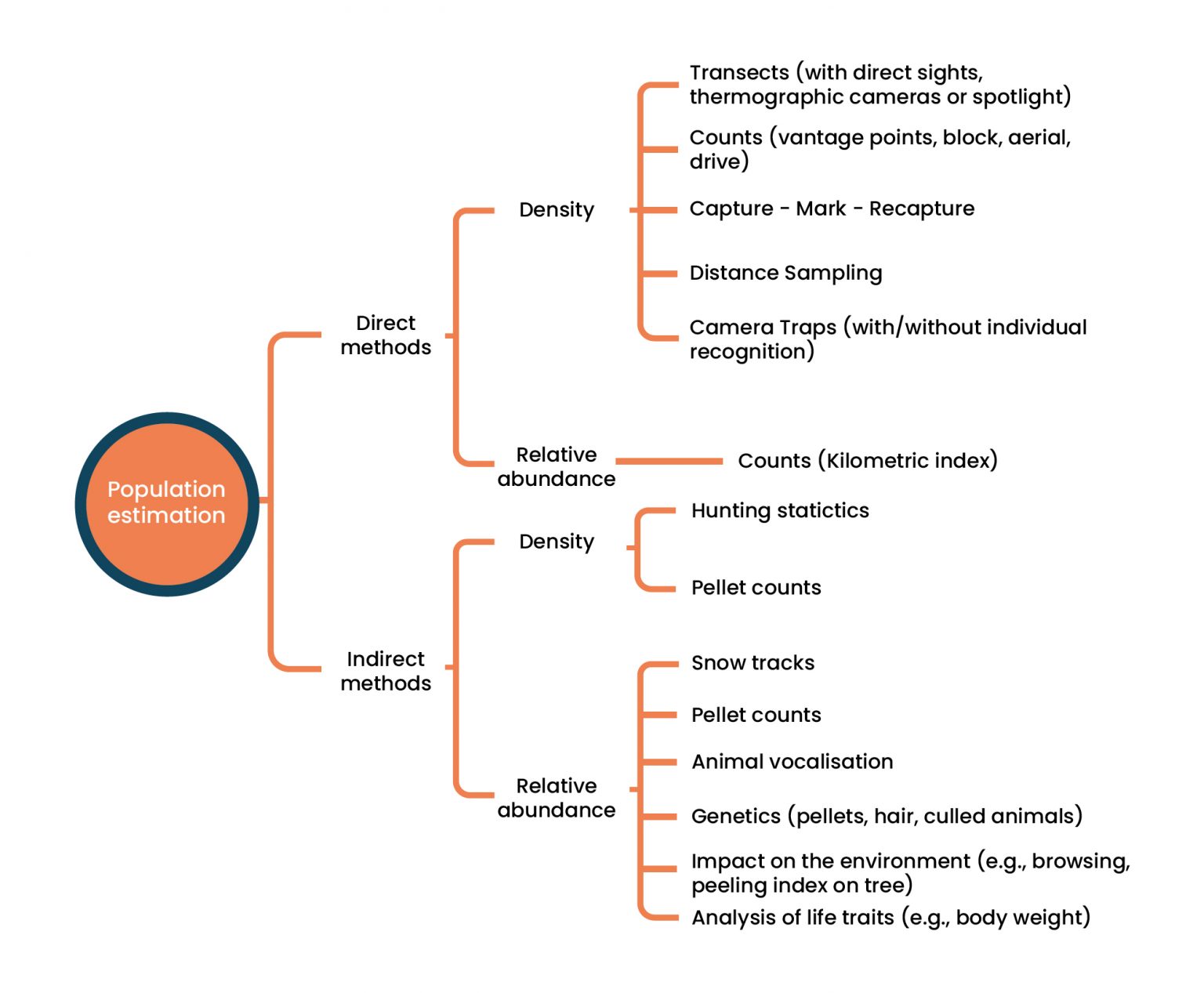 Wildlife monitoring – EOW