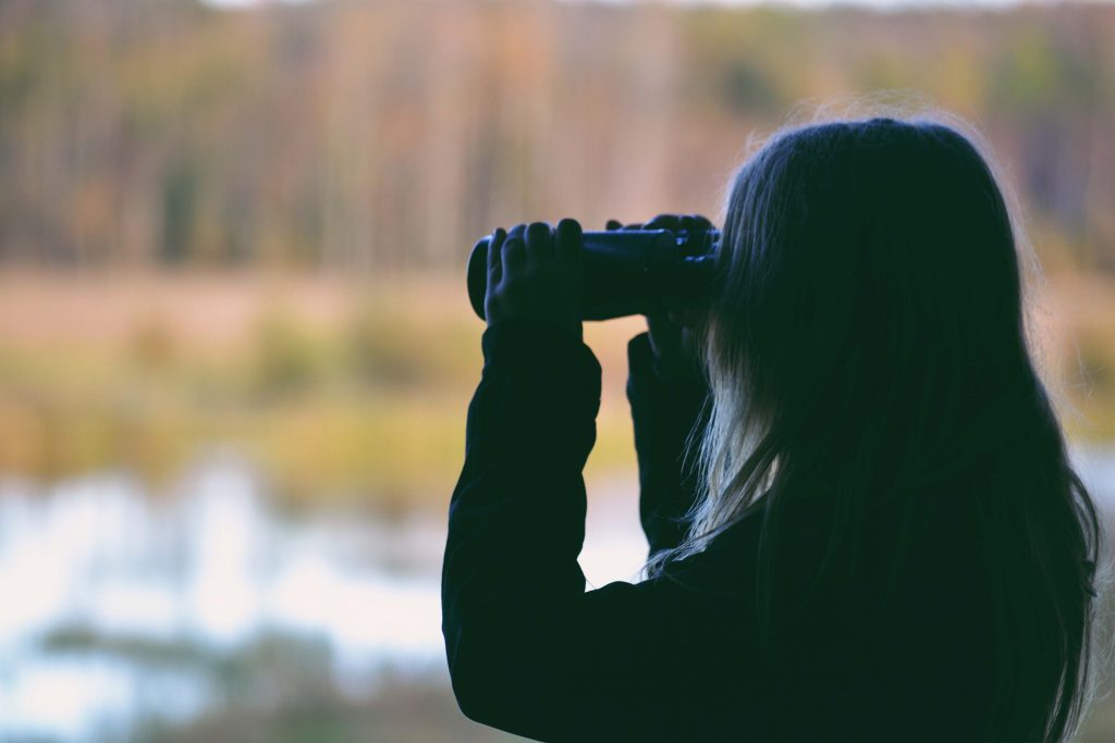 EOW – Observation points to monitor wildlife population.