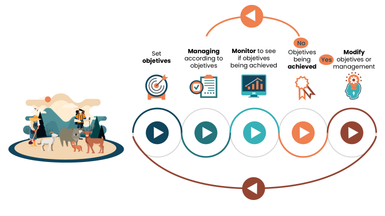 Wildlife monitoring – EOW