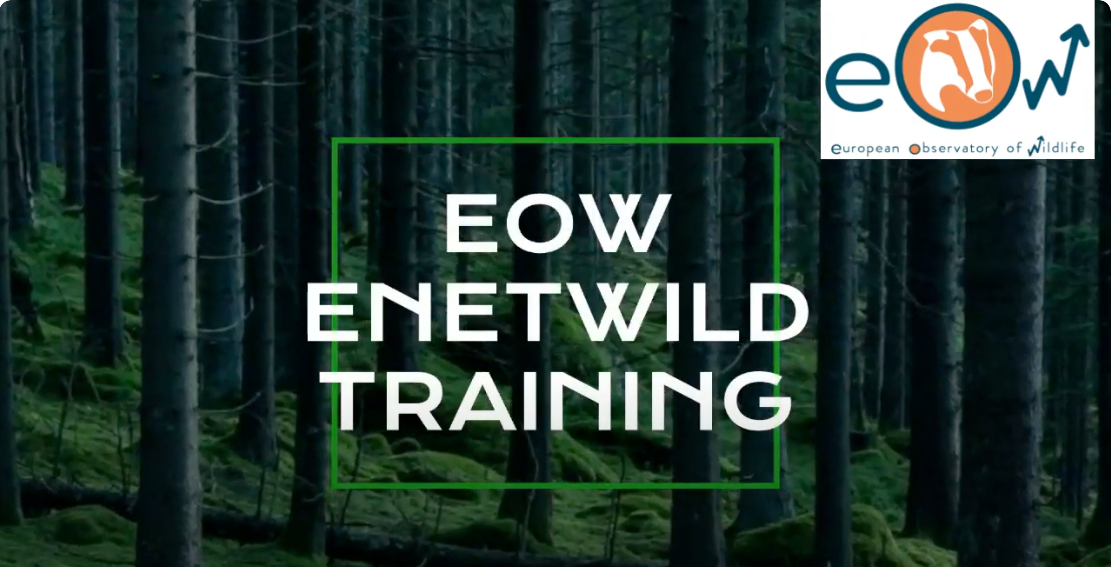 Enetwild EOW Second Training Course September 2024 – EOW